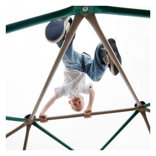 Lifetime Kids Metal Dome Climber - Green and Tan (90136)